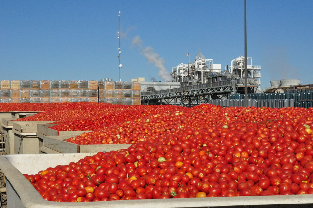 Photo Gallery | Wholesale Canned Tomato Company