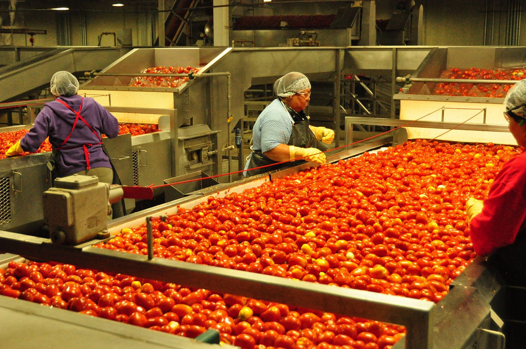 Photo Gallery | Wholesale Canned Tomato Company