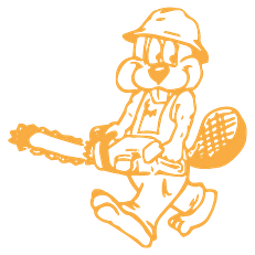 Beaver Tree Service | Tree Service Experts Portland and Medford