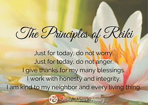 the principles of Reiki | Second Nature Healing®