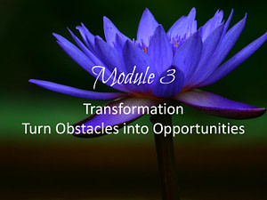 Module 3 overview slides | Second Nature Healing®