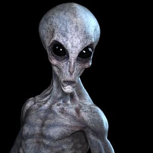 Alien Cathouse | Area 51 Alien Center