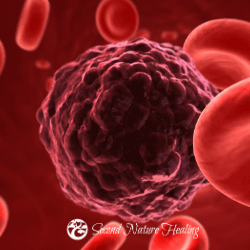 the zeolite story | Second Nature Healing®