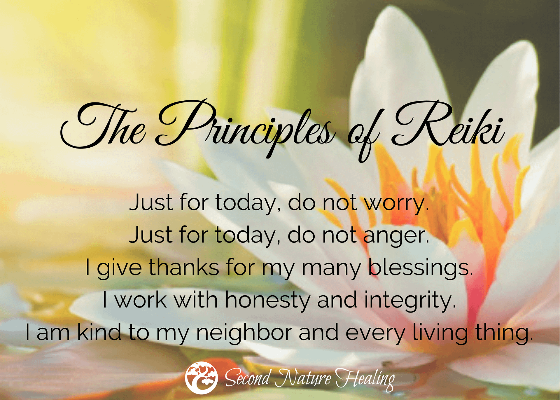 the principles of Reiki | Second Nature Healing®