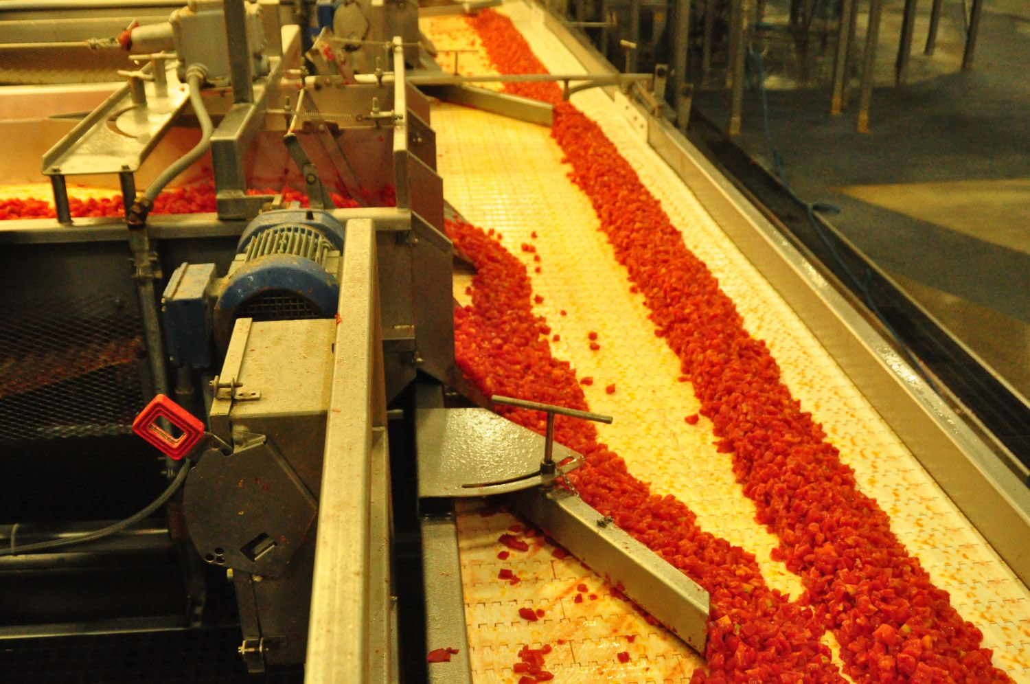 Photo Gallery | Wholesale Canned Tomato Company