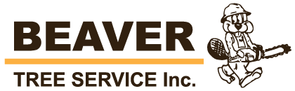 Beaver Tree Service | Tree Service Experts Portland and Medford