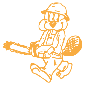 Beaver Tree Service | Tree Service Experts Portland and Medford